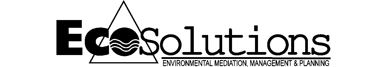 EcoSolutions, Inc. – Mediation | Management | Planning